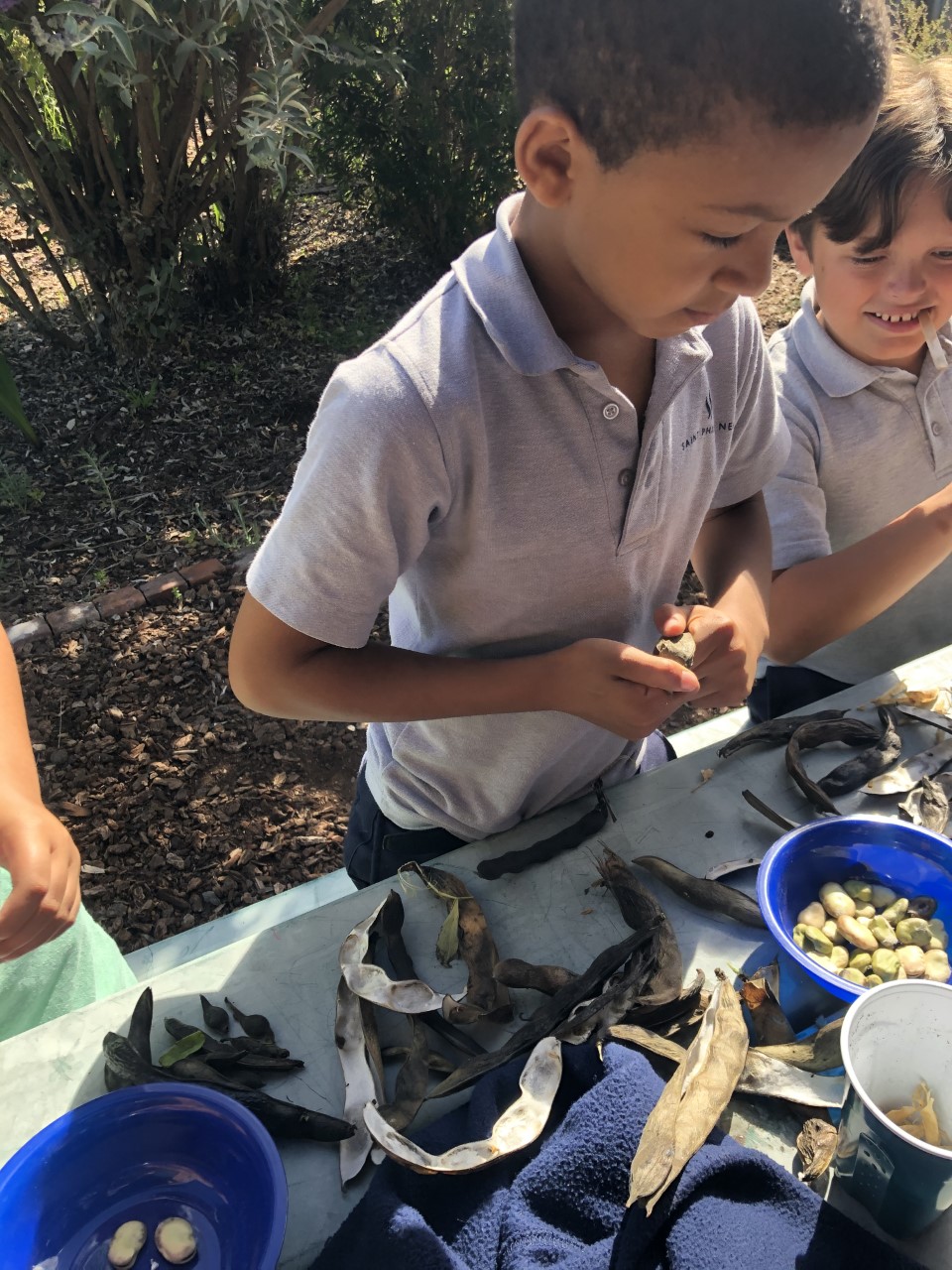 School Gardens Bridge the Gap Between School and Community - Alameda ...